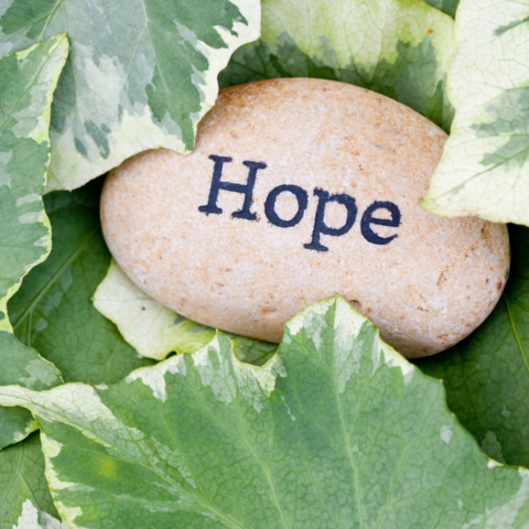 Got Hope? – Eclectic Well-Being